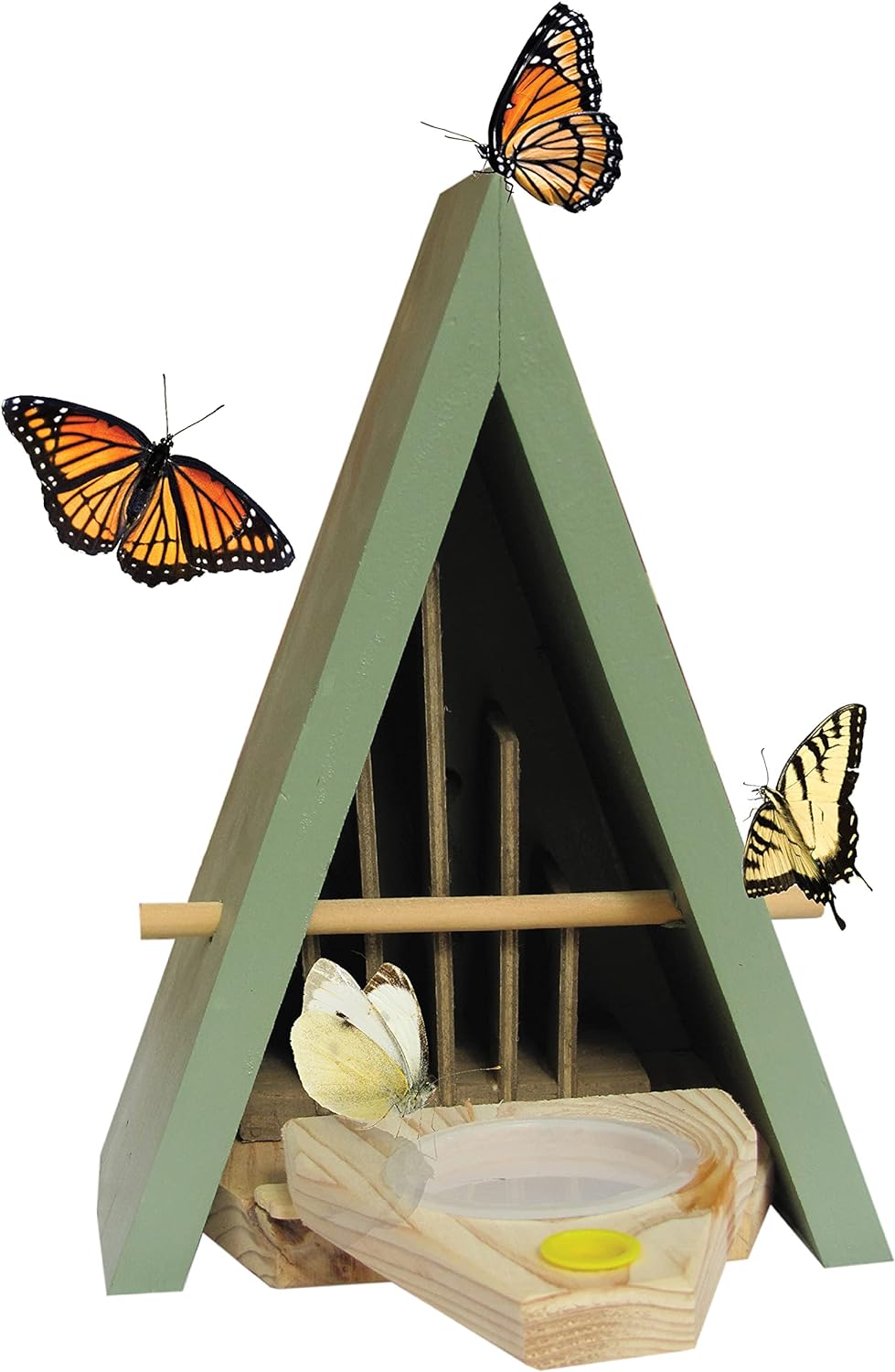 Butterfly House Essentials: A Guide to Features & Care ...